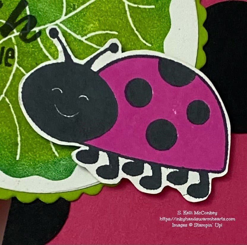 Introducing...Hello Ladybug, a stamp bundle from the new mini catalog