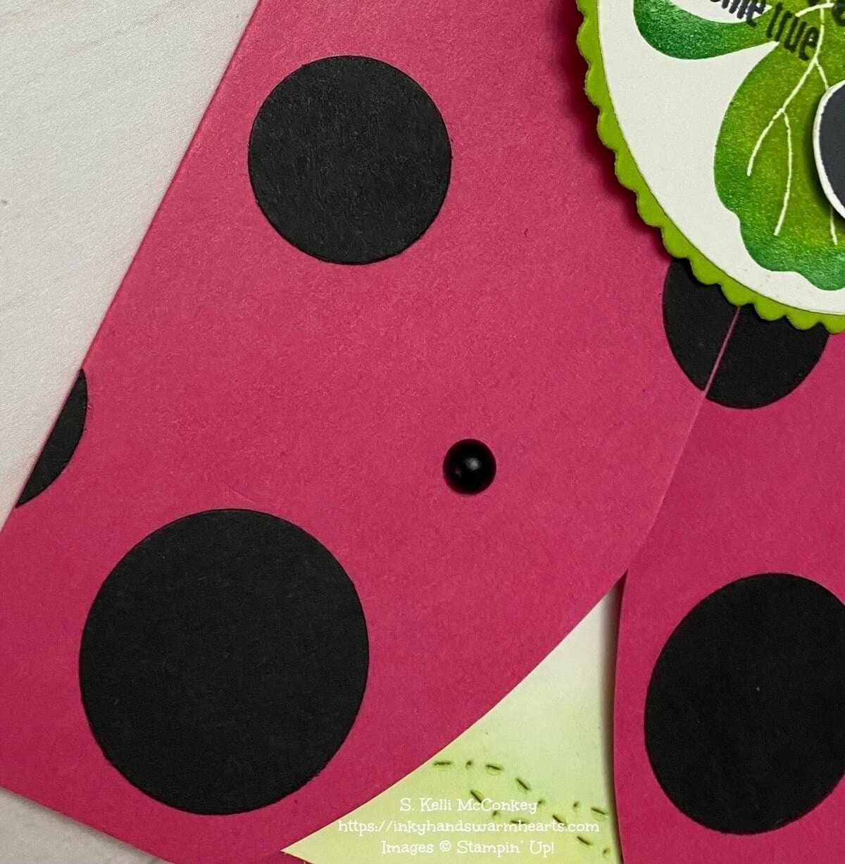 Introducing...Hello Ladybug, a stamp bundle from the new mini catalog